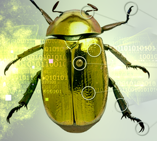 What is a Digital Specimen? – DiSSCoTech